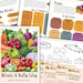 Nutrient Unit Study for Kids Healthy Eating Printable About Vitamins ...