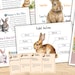 Printable Rabbit Unit Study for Kids Printable Lifecycle of a Rabbit ...