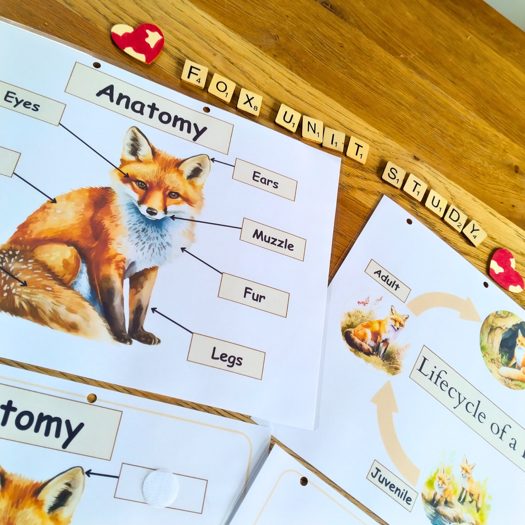 Fox Unit Study for Homeschool Printable STEM Activity for Kids Nature ...