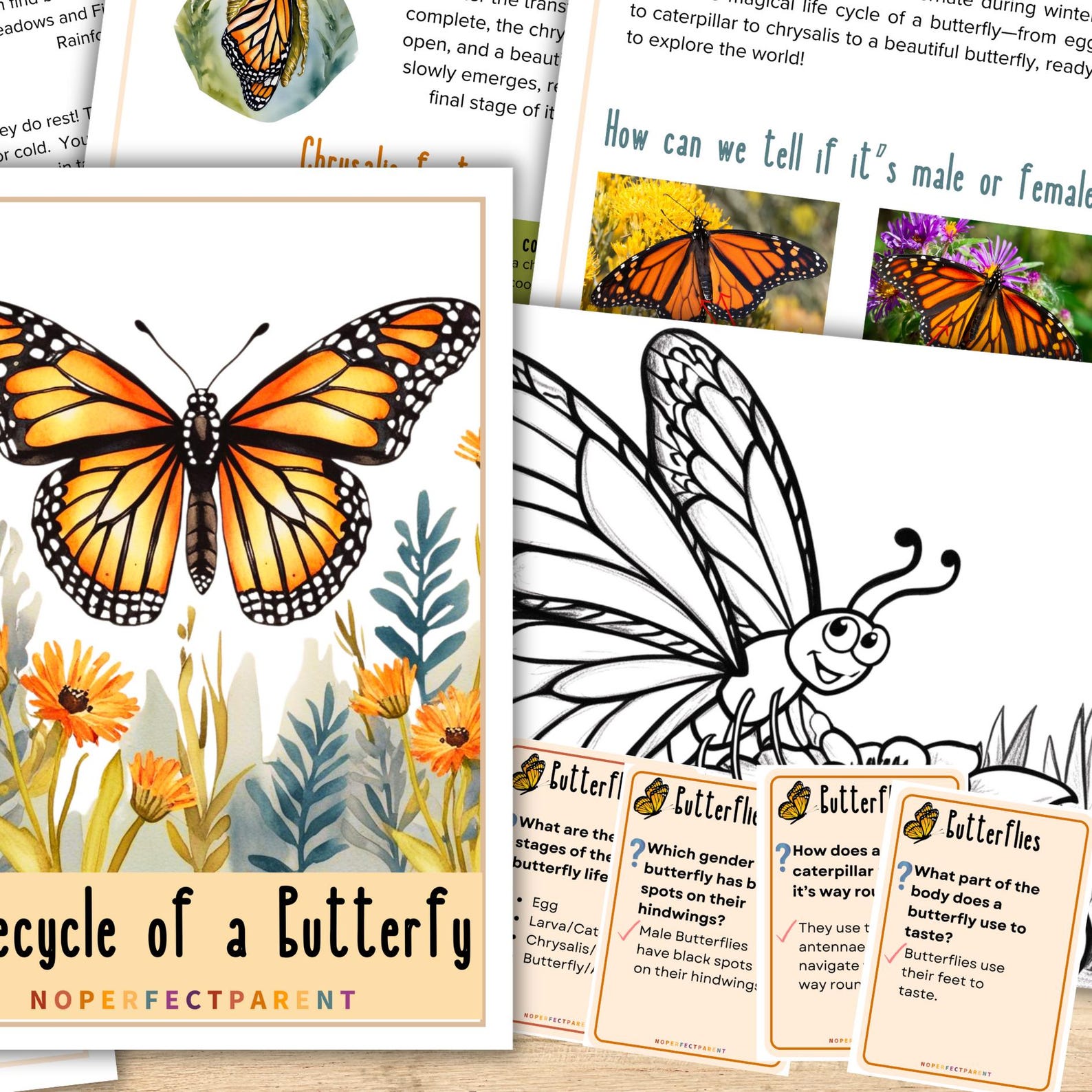 Lifecycle of a Butterfly Unit Study for Children Printable Caterpillar ...