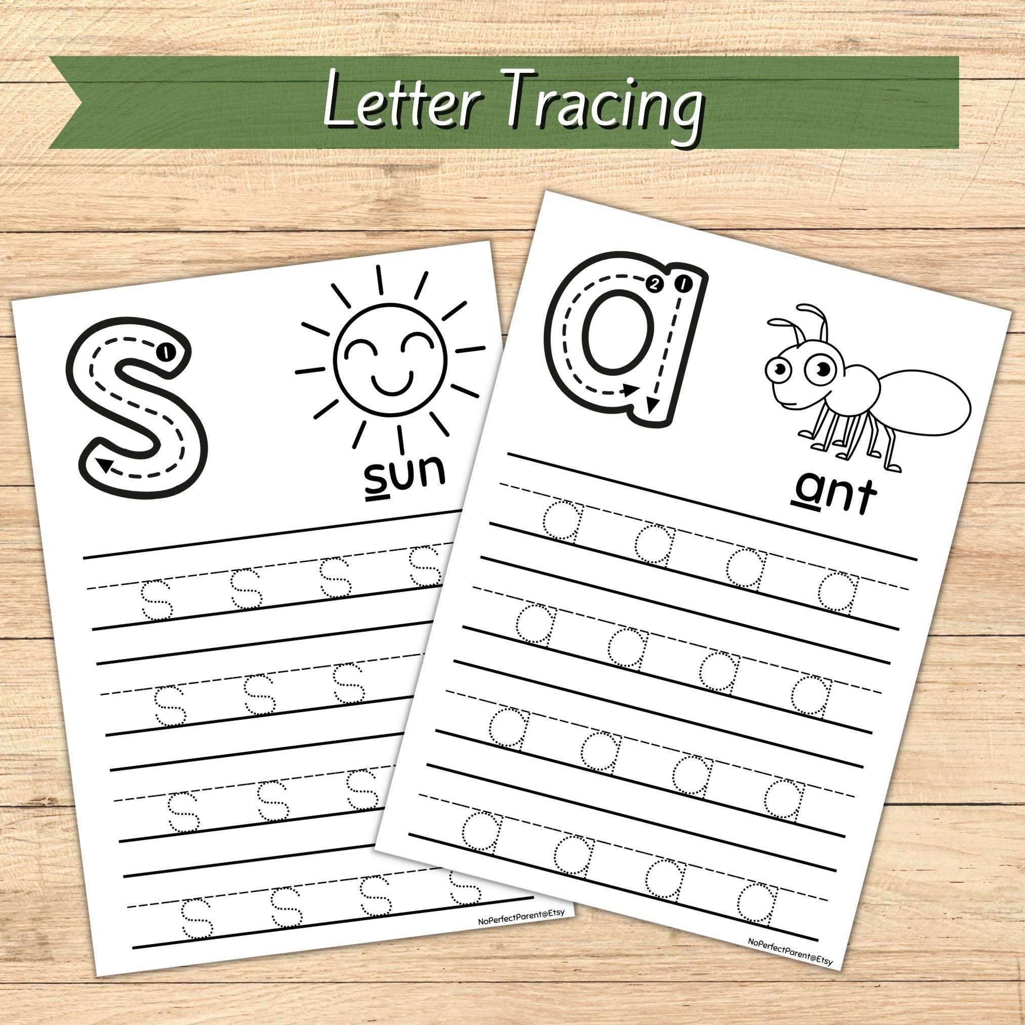 Stage 1 Phonics Programme Instant Download| 90+ Pages| Learn to Read ...