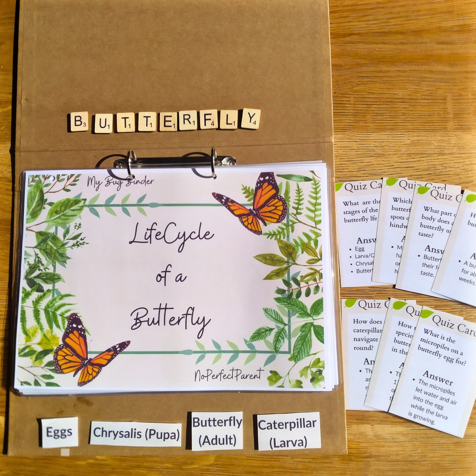 Lifecycle of a Butterfly Unit Study for Home School Printable Busy ...