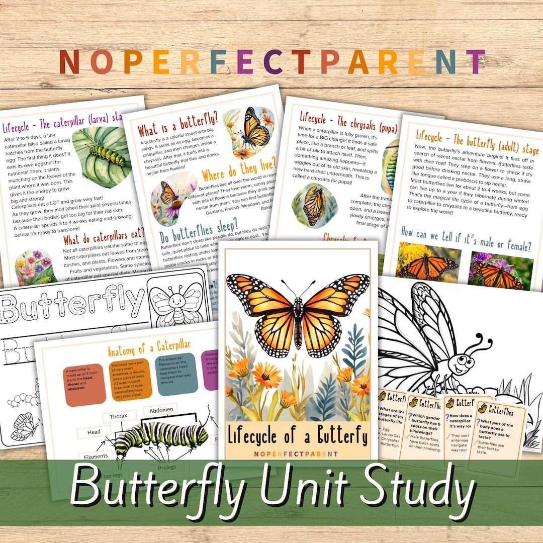 Lifecycle of a Butterfly Unit Study for Children Printable Caterpillar ...