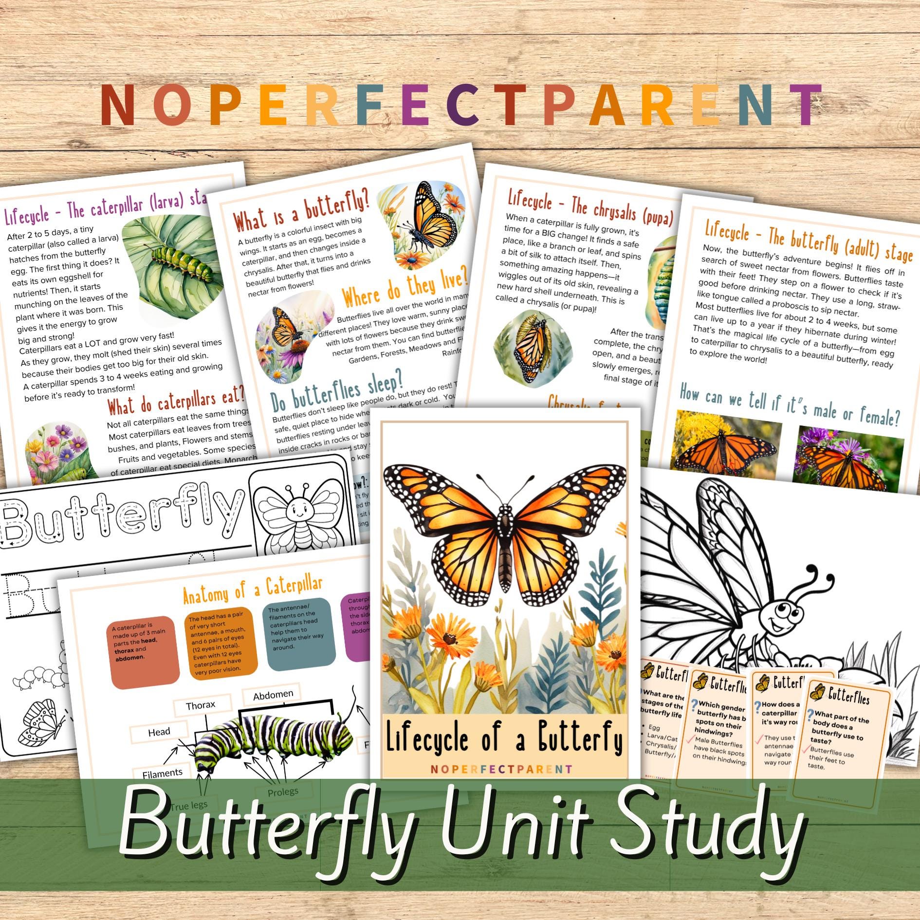 Lifecycle of a Butterfly Unit Study for Children Printable Caterpillar ...
