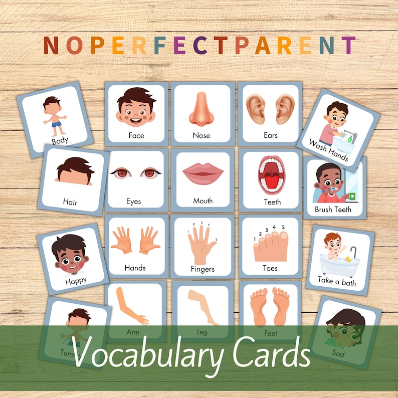 First Words Vocabulary Flashcards for Toddlers and Children Body Parts ...