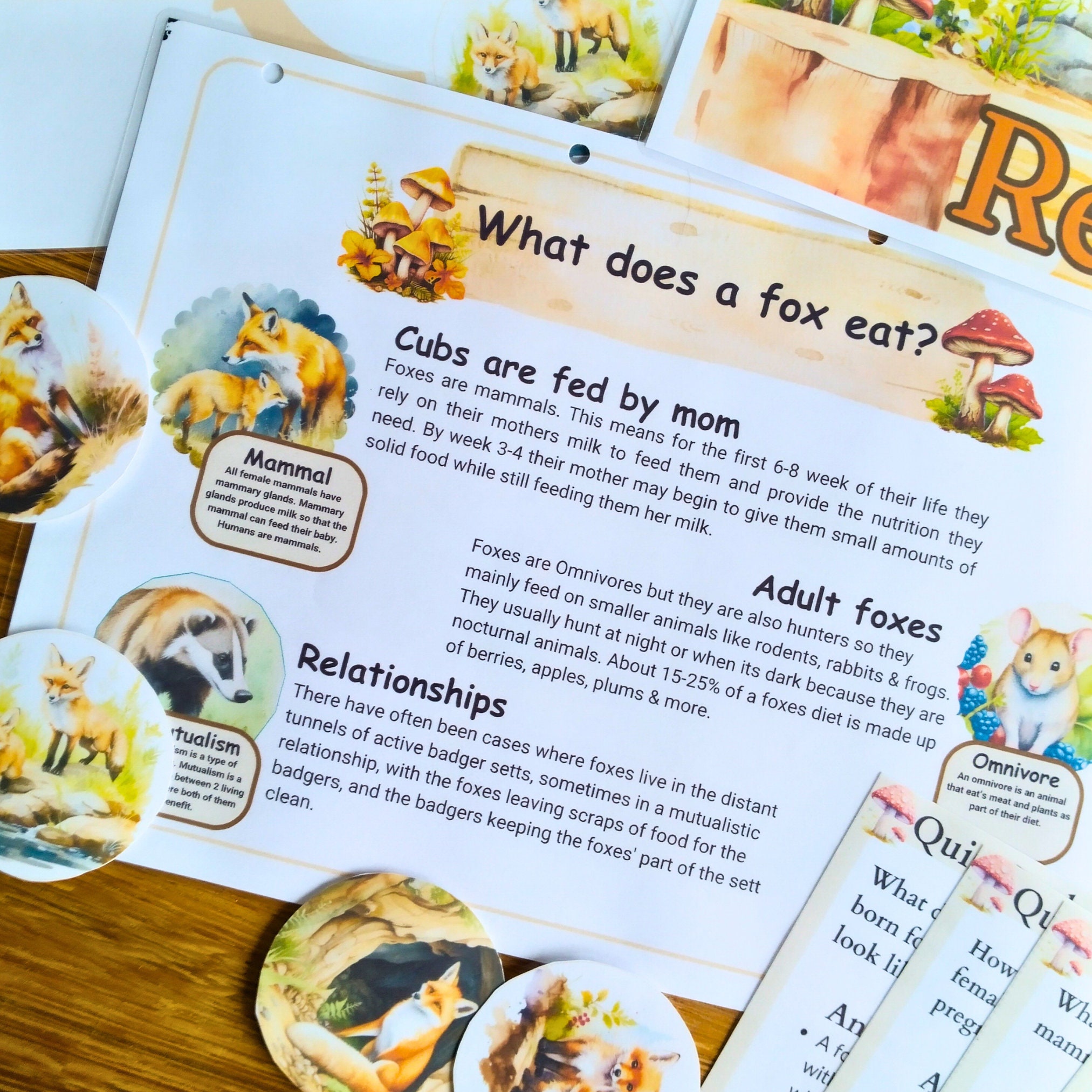 Fox Unit Study for Homeschool Printable STEM Activity for Kids Nature ...