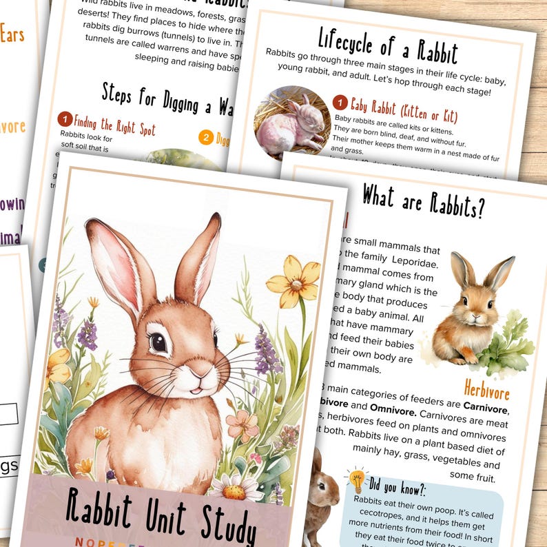 Printable Rabbit Unit Study for Kids Printable Lifecycle of a Rabbit ...
