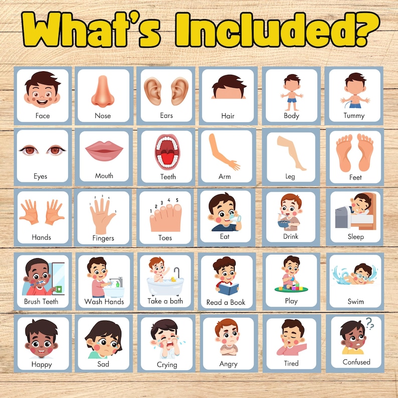 First Words Vocabulary Flashcards for Toddlers and Children Body Parts ...