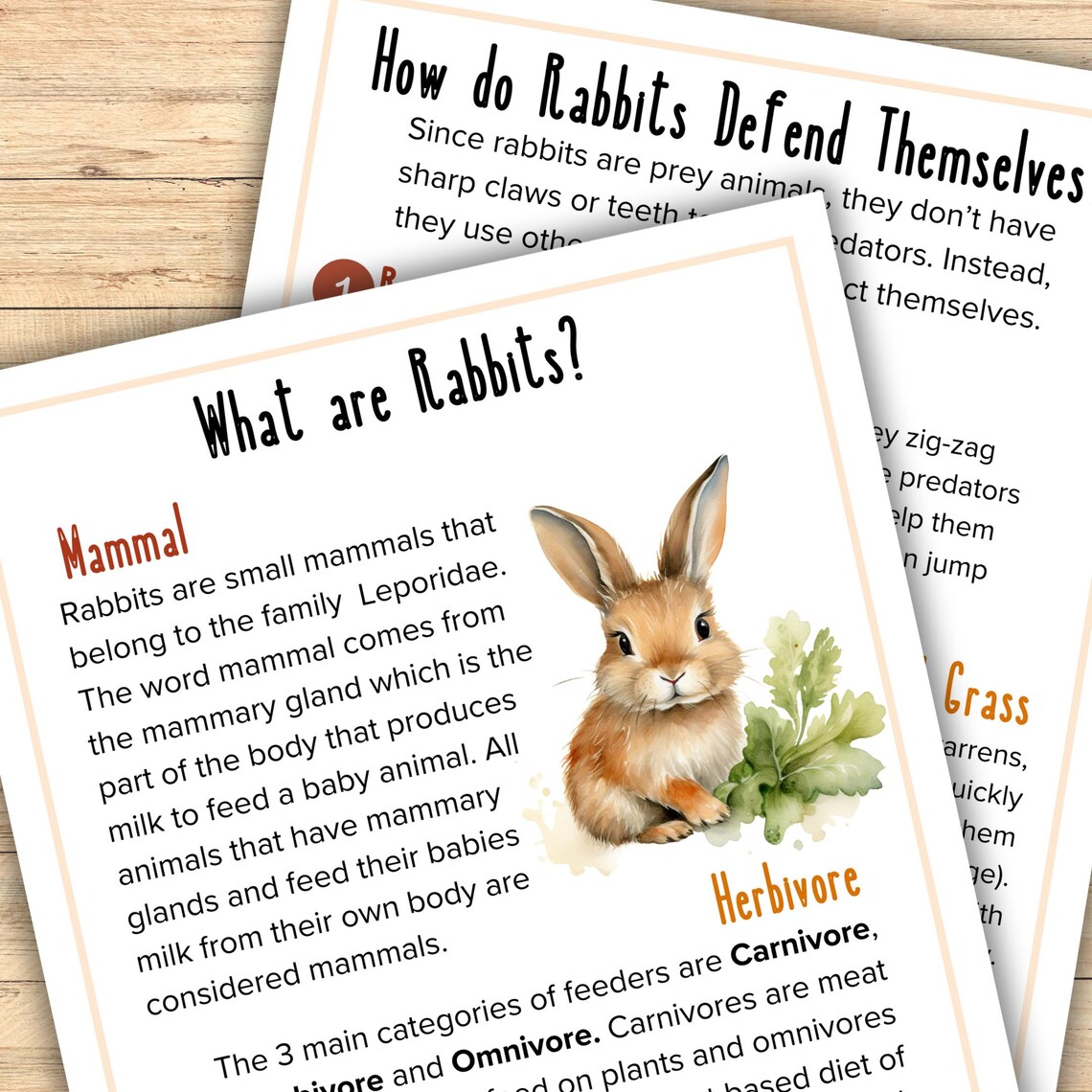 Printable Rabbit Unit Study for Kids Printable Lifecycle of a Rabbit ...