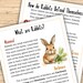 Printable Rabbit Unit Study for Kids Printable Lifecycle of a Rabbit ...