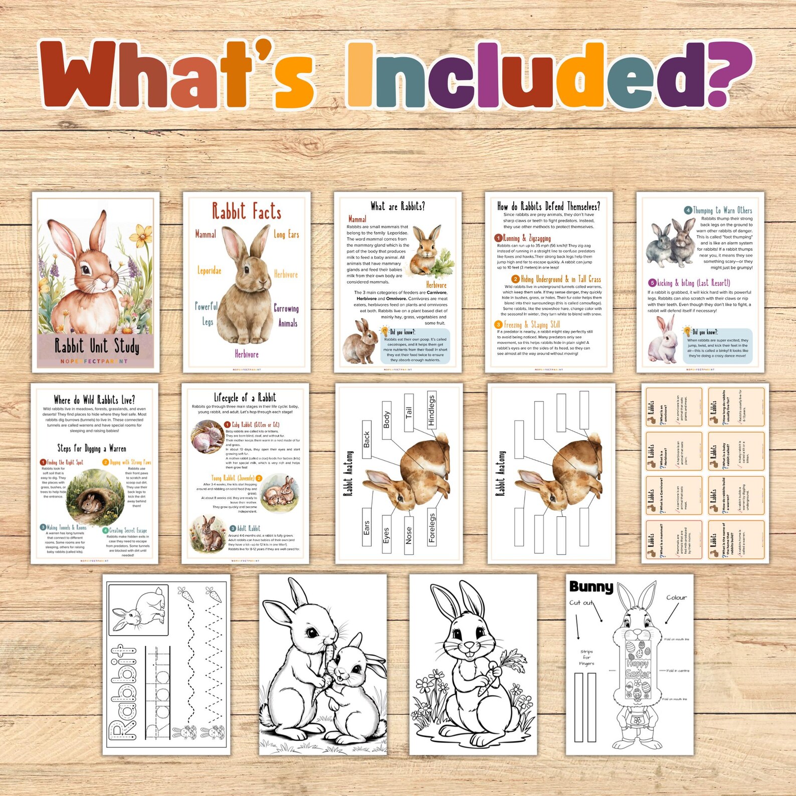 Printable Rabbit Unit Study for Kids Printable Lifecycle of a Rabbit ...