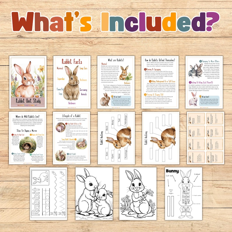 Printable Rabbit Unit Study for Kids Printable Lifecycle of a Rabbit ...