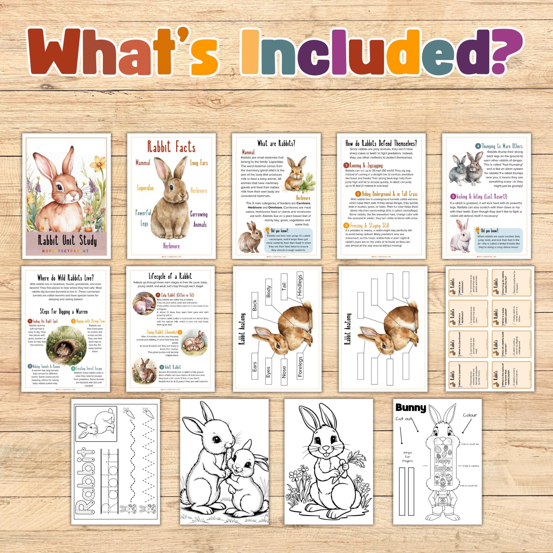 Printable Rabbit Unit Study for Kids Printable Lifecycle of a Rabbit ...