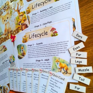 Fox Unit Study for Homeschool Printable STEM Activity for Kids Nature ...