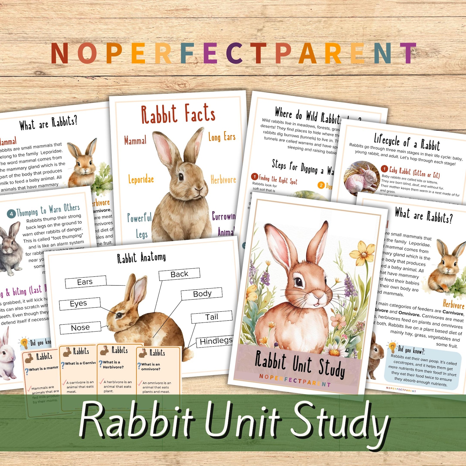Printable Rabbit Unit Study for Kids Printable Lifecycle of a Rabbit ...