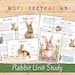 Printable Rabbit Unit Study for Kids Printable Lifecycle of a Rabbit ...