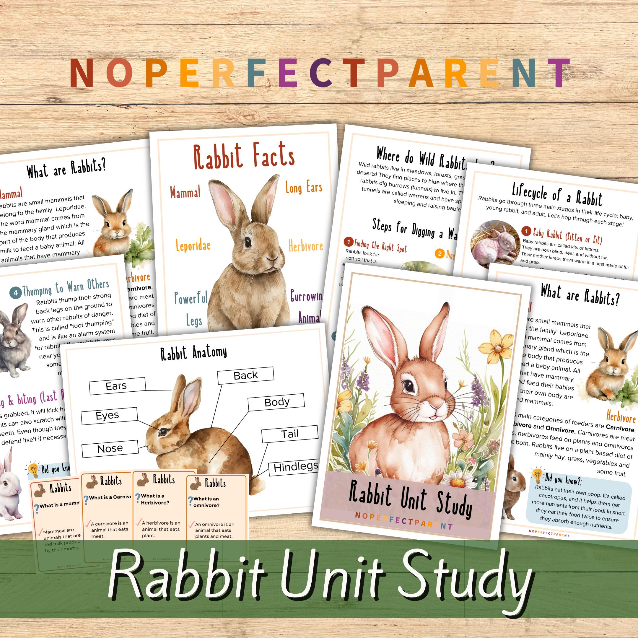 Printable Rabbit Unit Study for Kids Printable Lifecycle of a Rabbit ...