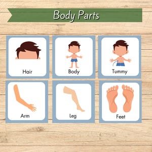 First Words Vocabulary Flashcards for Toddlers and Children Body Parts ...