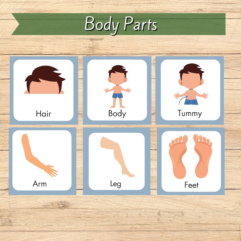 First Words Vocabulary Flashcards for Toddlers and Children Body Parts ...