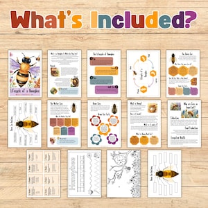 Nature Unit Study for Children Lifecycle of a Honeybee Printable STEM ...