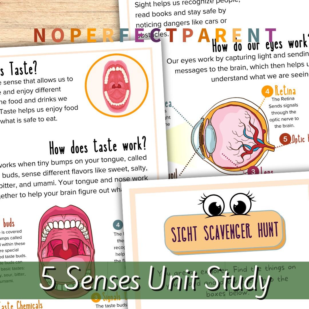 5 Senses Activities for Preschool | Montessori-inspired Printable ...