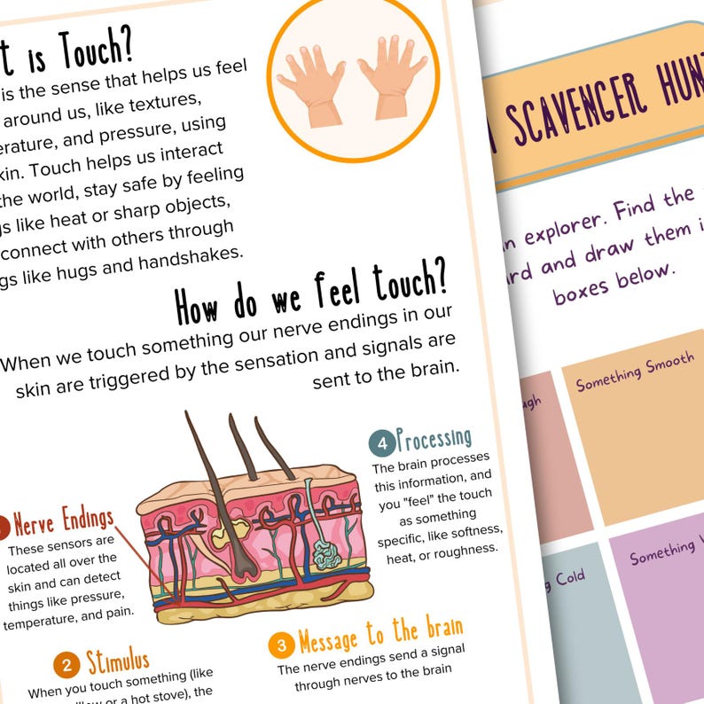 5 Senses Printable for Children Five Senses Unit Study for Homeschool ...