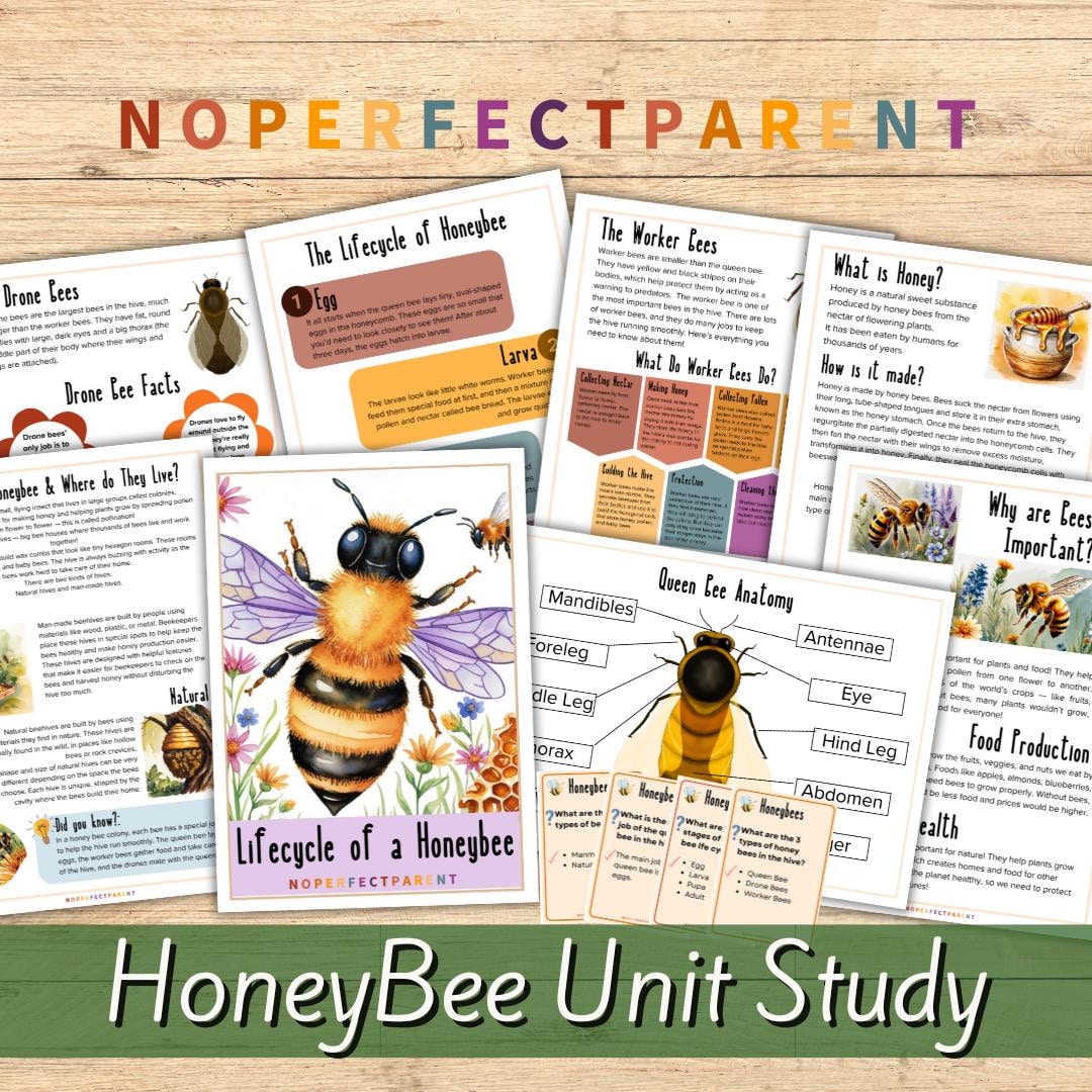 Nature Unit Study for Children Lifecycle of a Honeybee Printable STEM ...