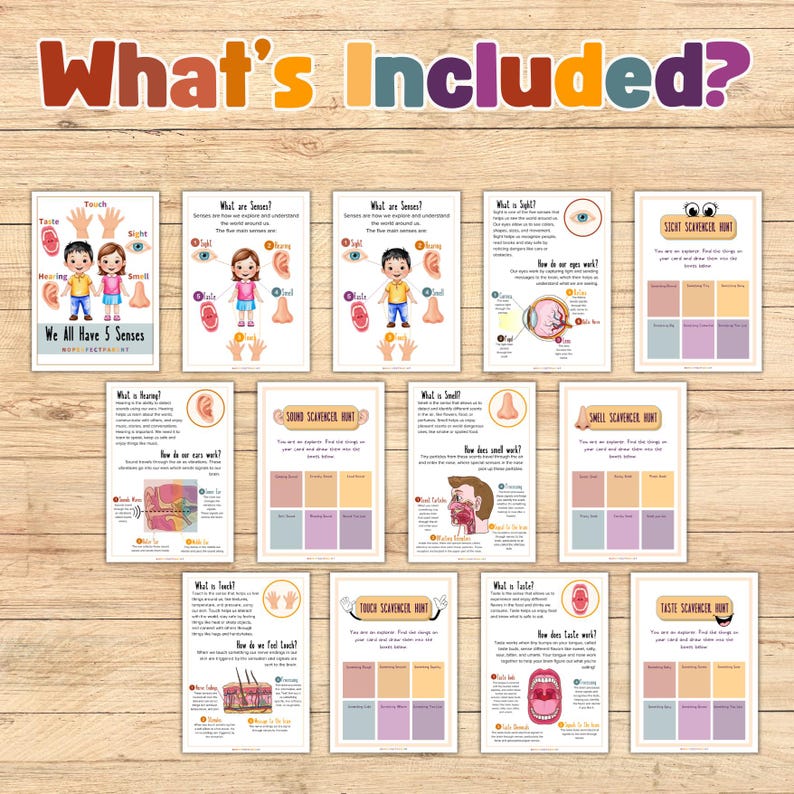 5 Senses Printable for Children Five Senses Unit Study for Homeschool ...