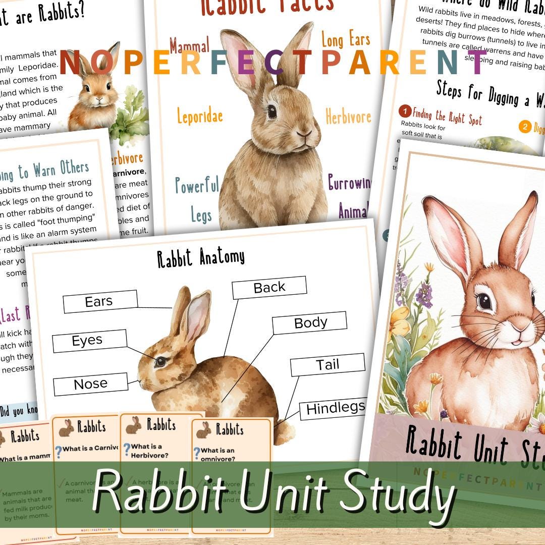 Lifecycle of a Rabbit Unit Study for Kids | Printable Worksheets, Hands ...