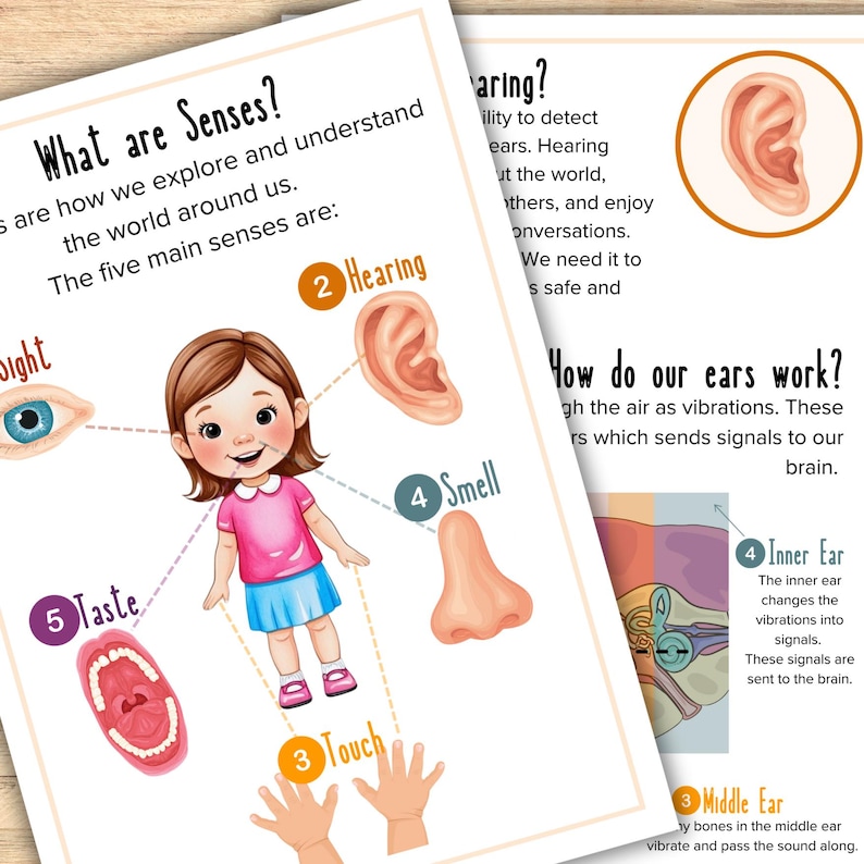 5 Senses Printable for Children Five Senses Unit Study for Homeschool ...