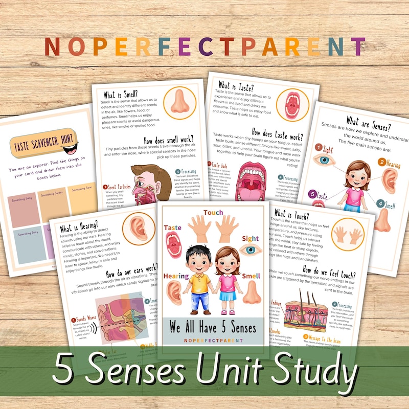 The Five Senses Unit - Etsy