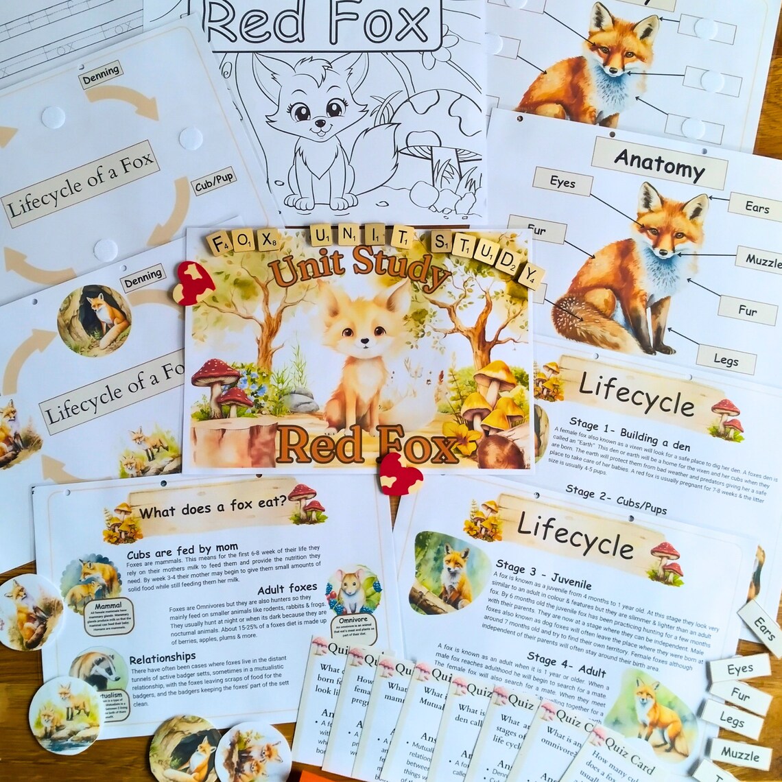 Fox Unit Study for Homeschool Printable STEM Activity for Kids Nature ...