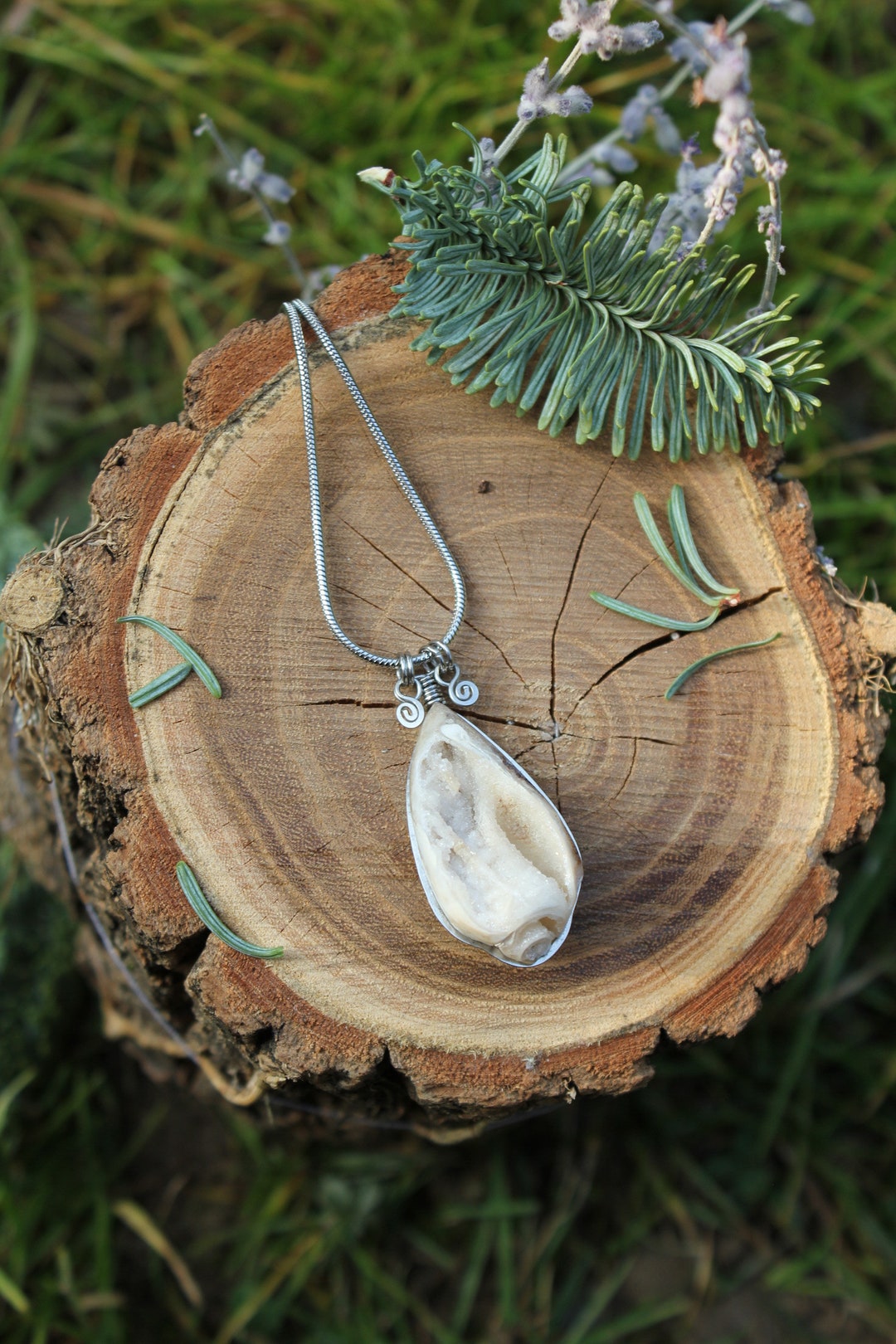 Fossil Shell Pendant Crystallized in Stainless Steel, Represents the ...