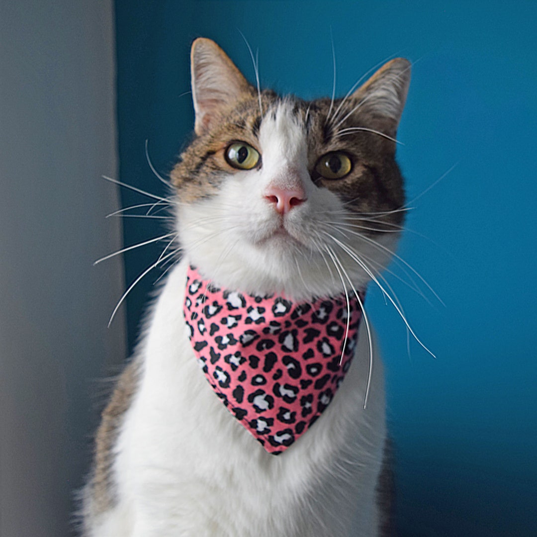 Pink Leopard Cat / Dog Bandana Jungle Cat Scarf Summer Pet - Etsy