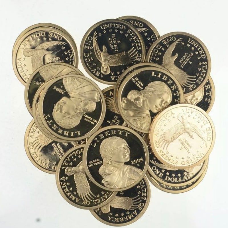 Sacagawea Coin Collection - Etsy
