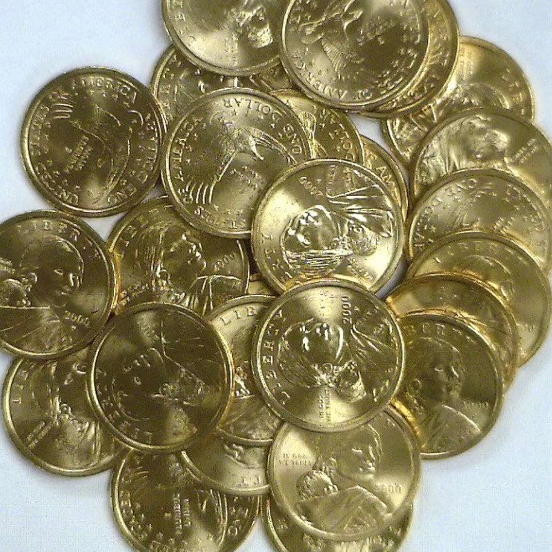 Us Sacagawea Coin - Etsy