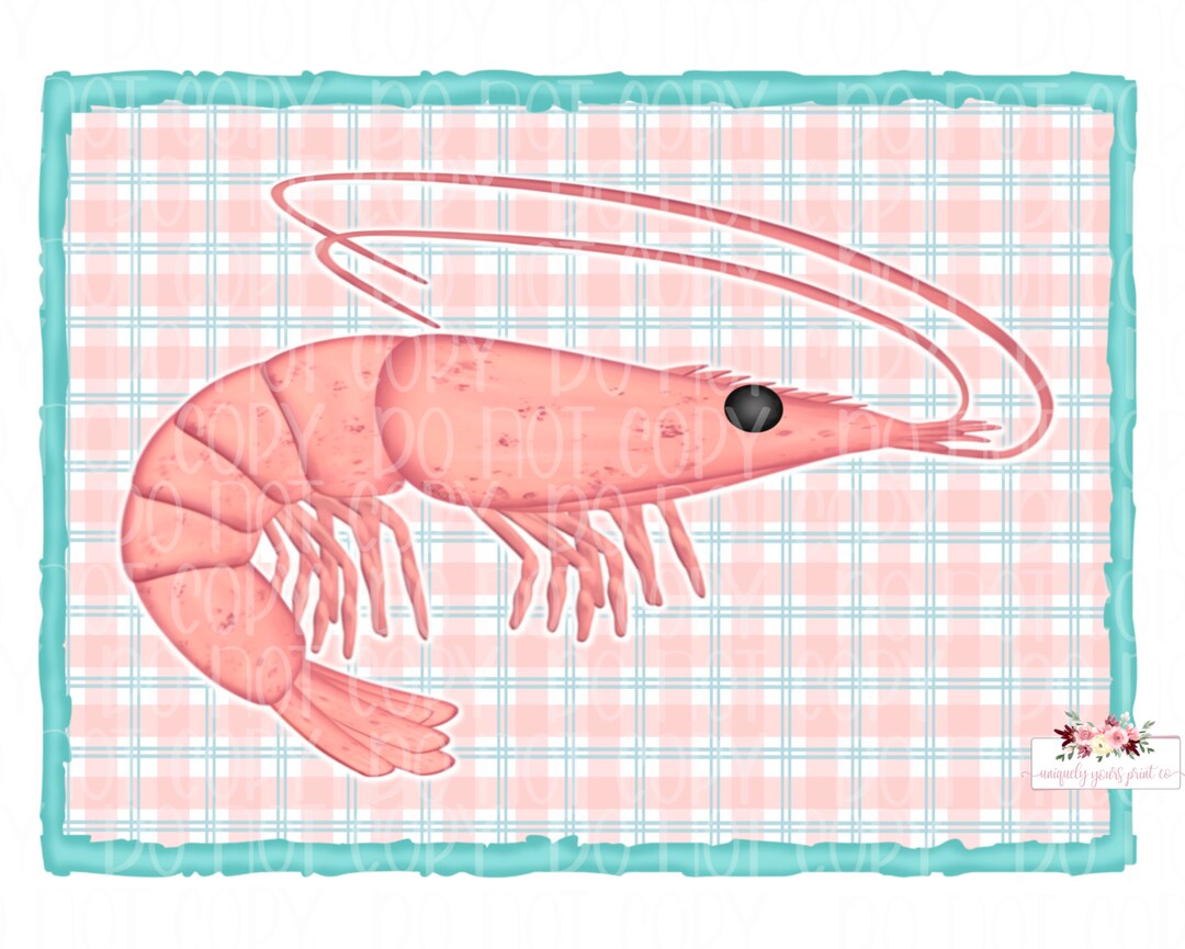 Shrimp Digital Art Download | Sublimation | Hand Drawn | PNG | Cajun ...