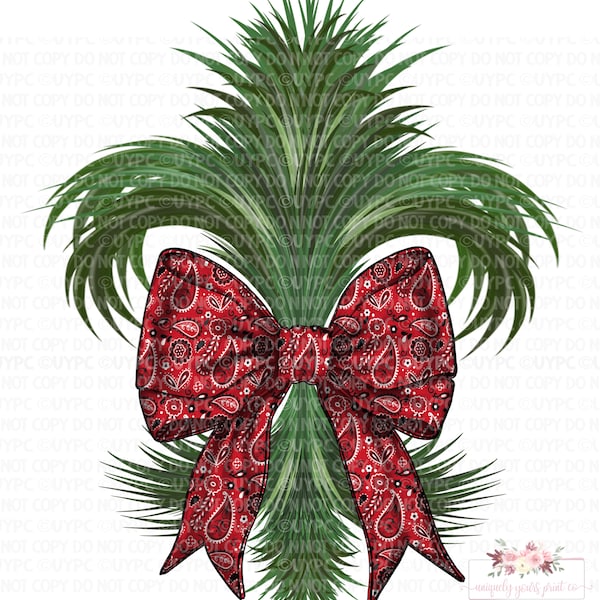 Zydeco Doodle With Washboard Fiddle & Accordion Hand Drawn Doodle ...