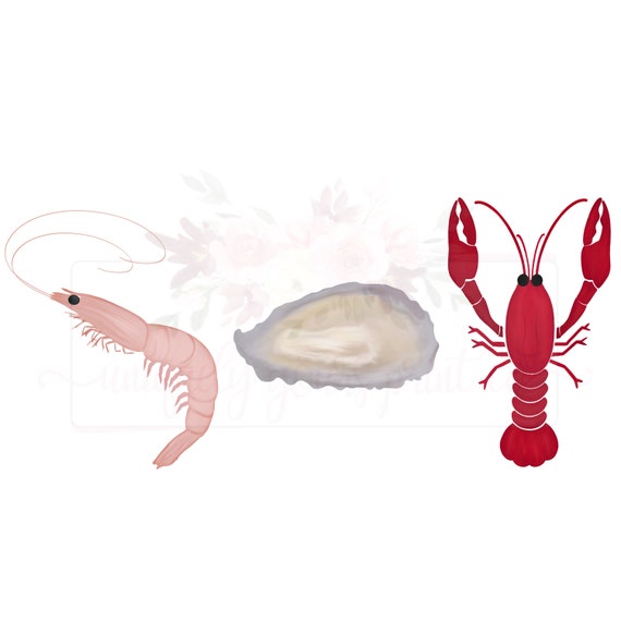 Boiled Shrimp Oyster Crawfish Hand Drawn Doodle Design - Etsy