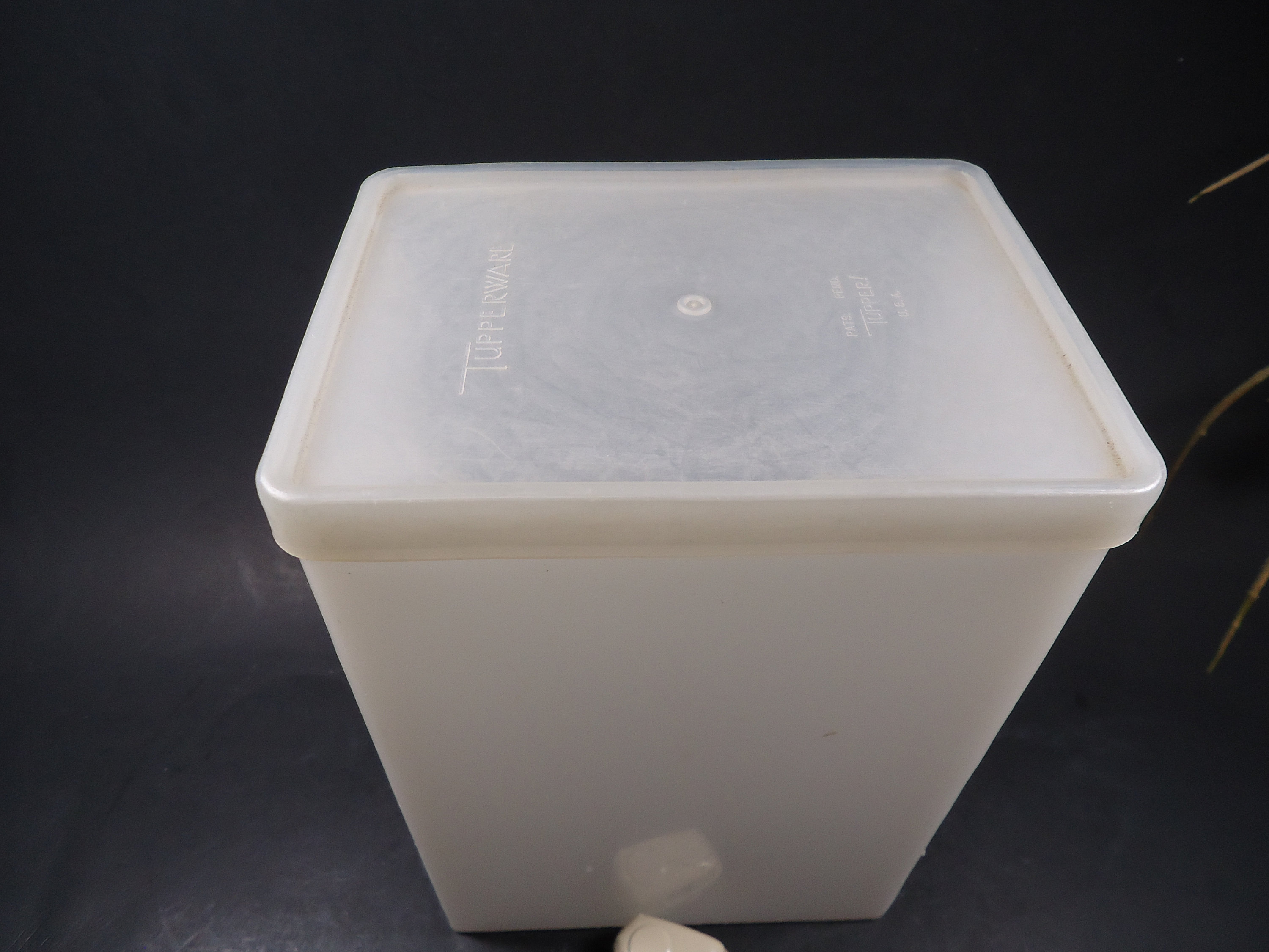 Tupperware Ice Cream Freezer Box. - Etsy