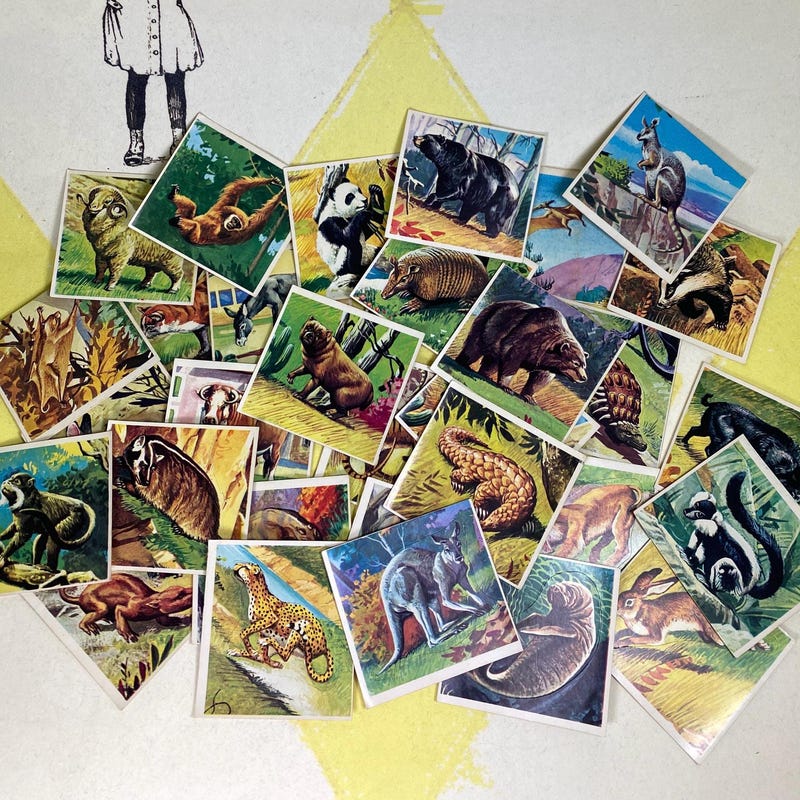 Panini Stickers - Etsy