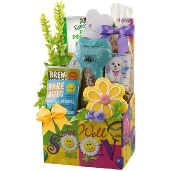 Doggie Get Well Gift Baskets - Etsy