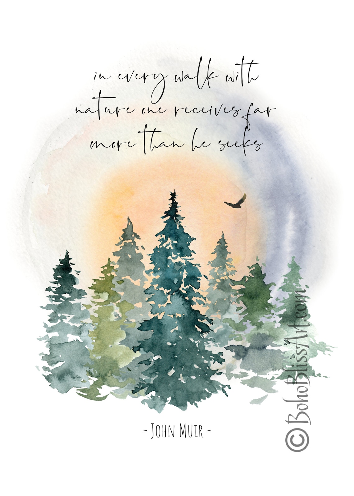 John Muir Quote: in Every Walk With Nature One Receives Far More Than ...