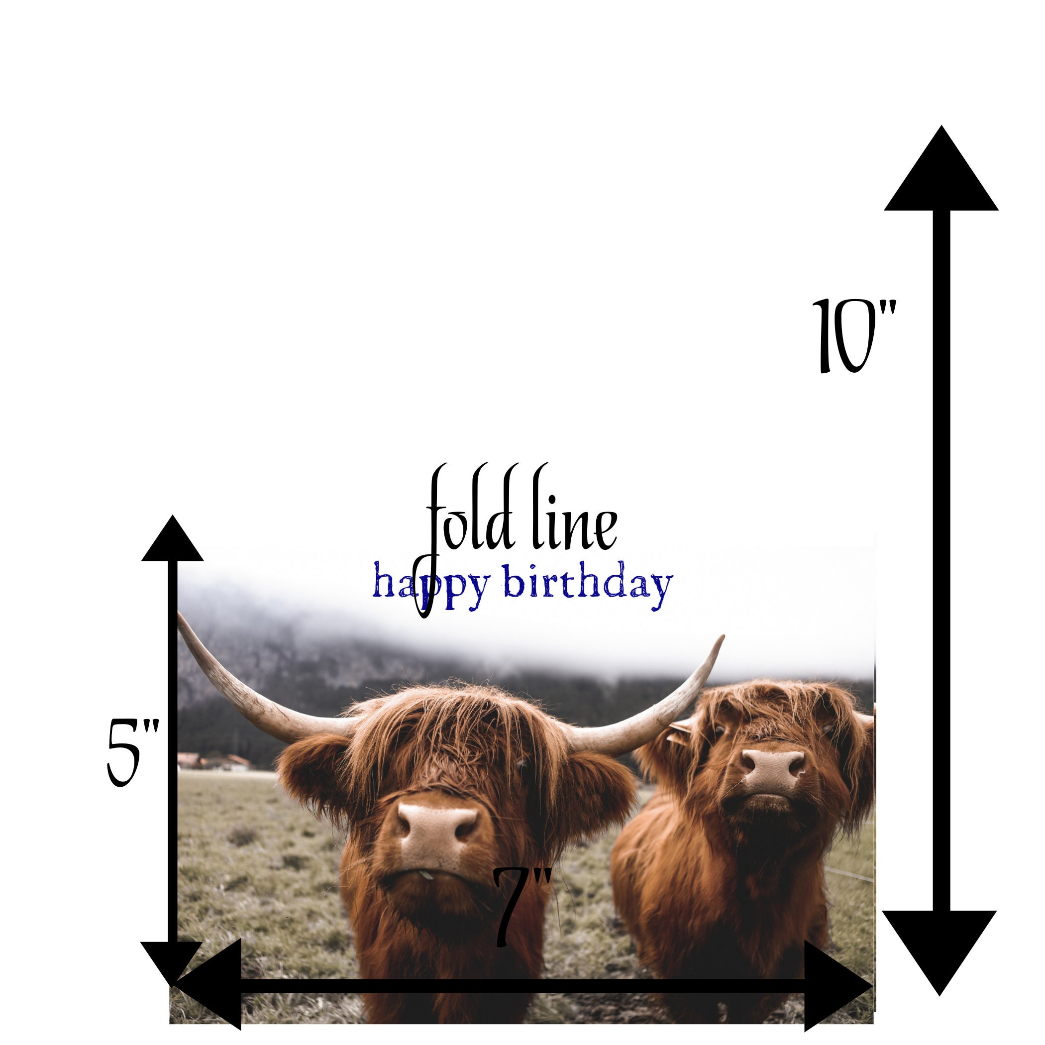 Printable Birthday Card Scottish Highland Coos Photography Scotland ...