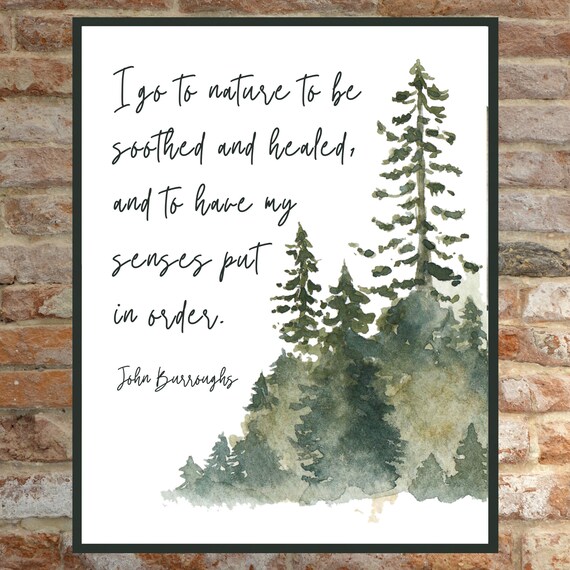 John Burroughs Quote: I go to nature to be soothed & healed | Etsy