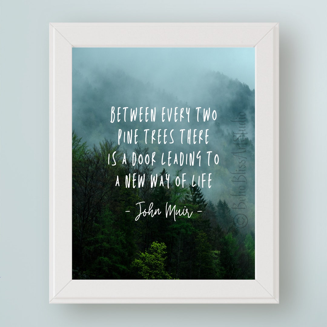 Between Every Two Pine Trees... John Muir Quote Printable Art Tree ...