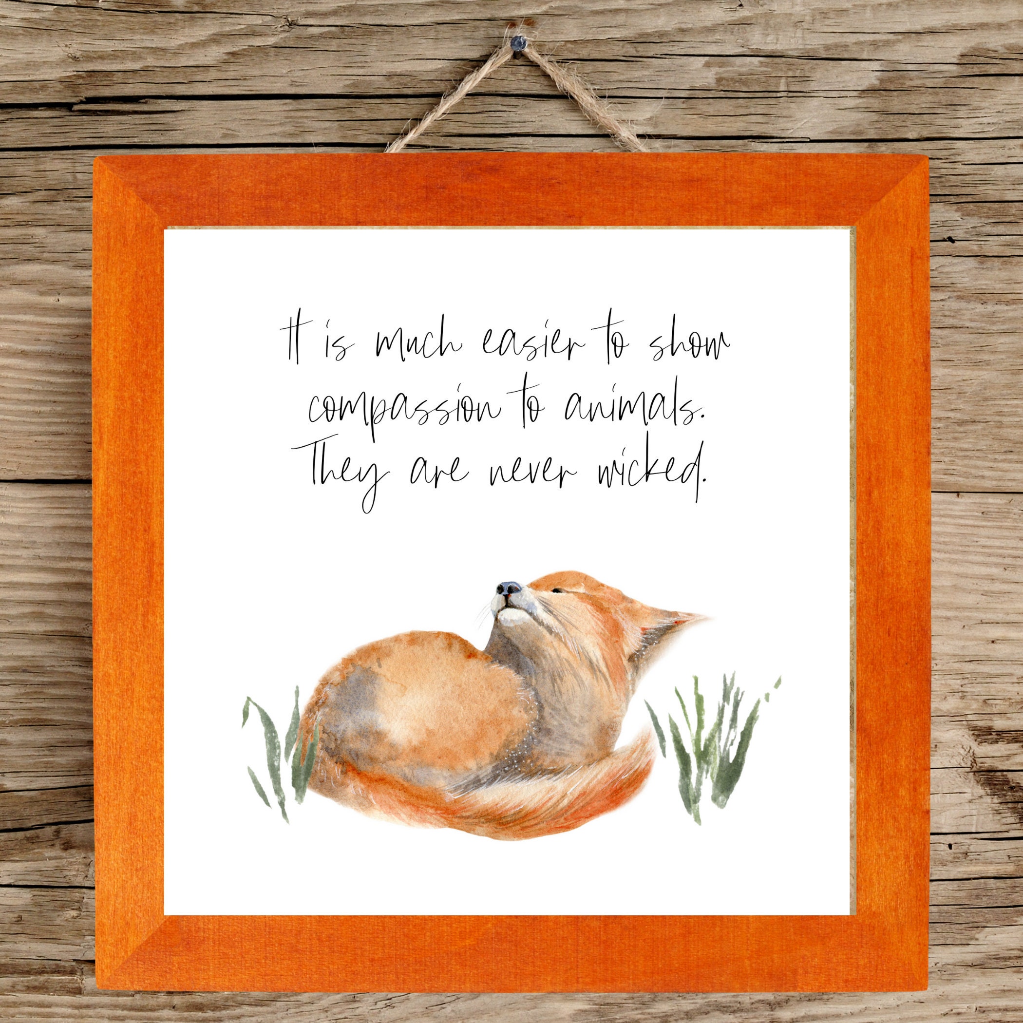 Animals Showing Compassion