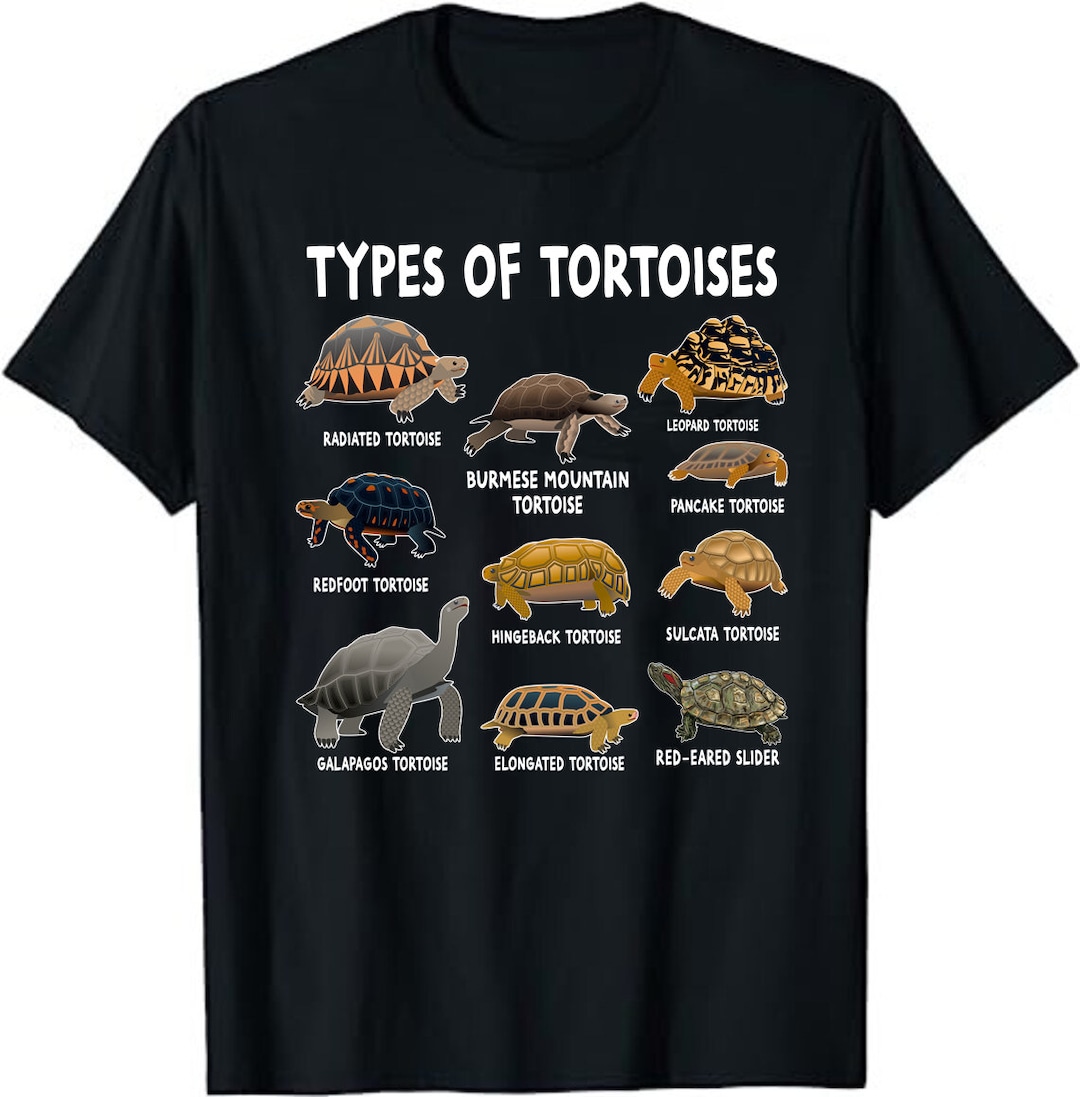 Types of Turtle Shirt | Tortoise Apparel Sea Turtle Lovers Unisex T ...