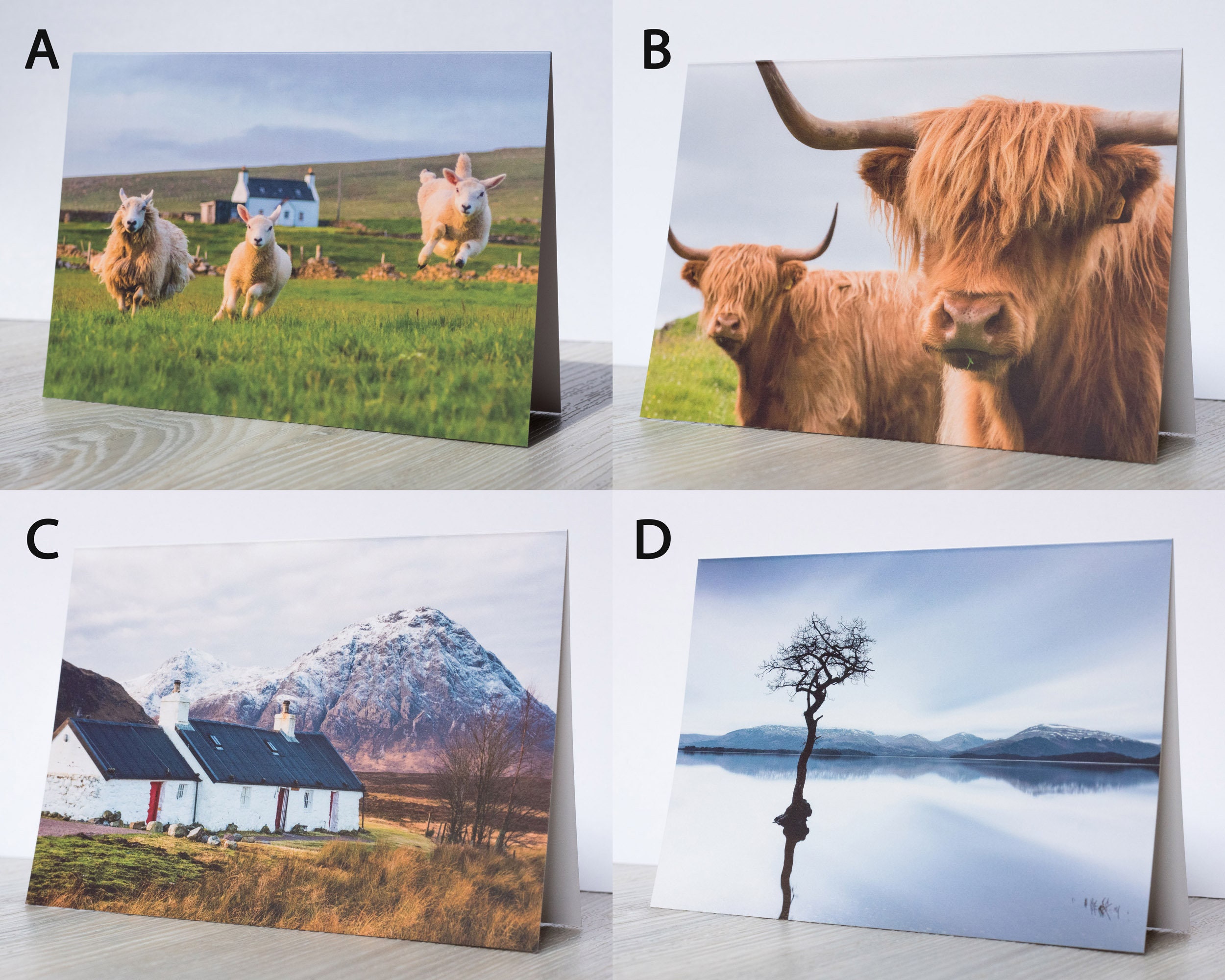 Scotland Cards Pack Blank Photo Greeting Card Mix & Match All Occasion ...
