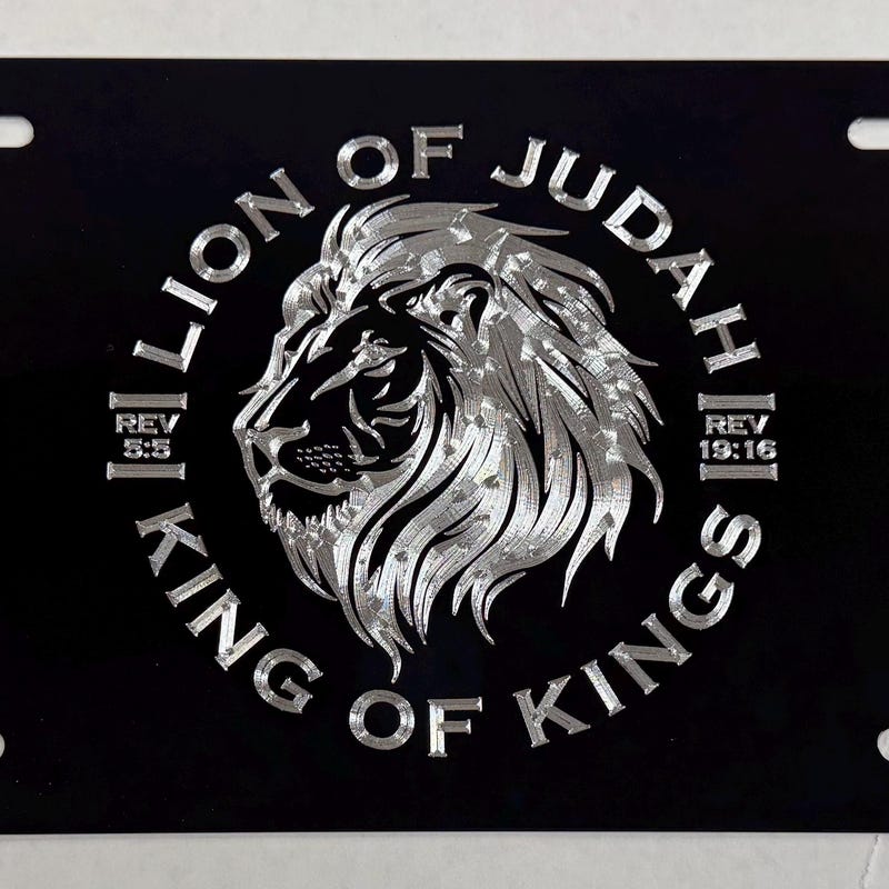 Lions License Plate Cover - Etsy